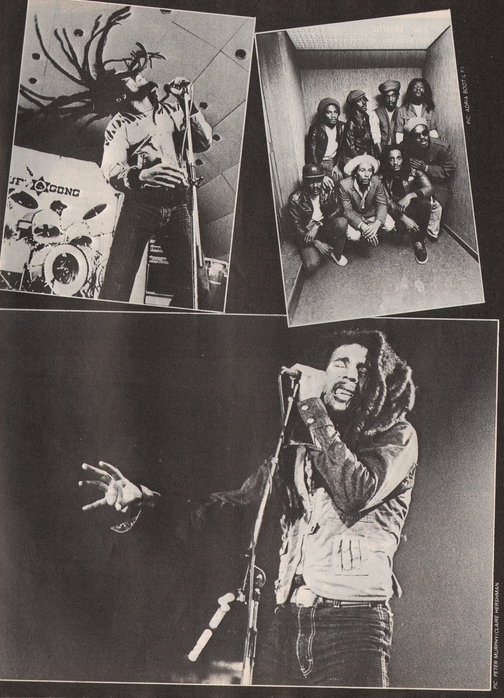 Bob Marley: Better Off Dread plus Madison Square Garden 1980 ...